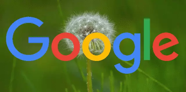 Fluctuacions de cerca de cerca de Google durant diversos dies