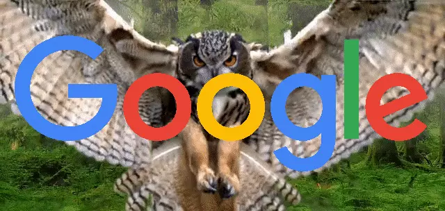 Predators reiknirit Google miðar á nýtingu vefsvæða