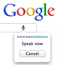 Google Voice Search.