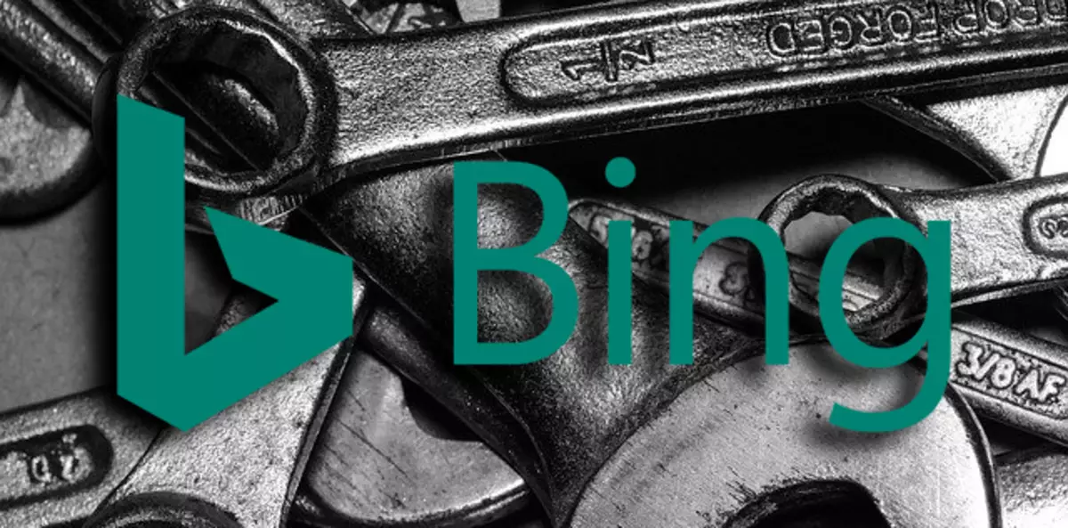 Bing Webmaster Tools mostra datos para a URL normalizada 1262_1