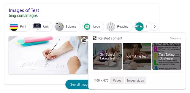 Bing Content Conținut Pictogramă Overlay în funcția de căutare imagine 1286_2