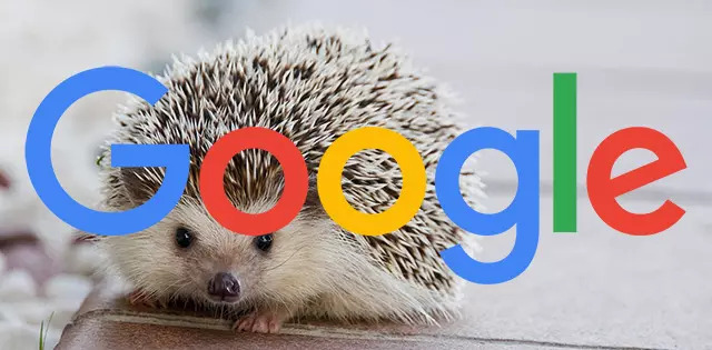 Google Dokumente, wie HTTP-Statuscodes, Network & DNS-Fehler auf Google SEO beeinflussen