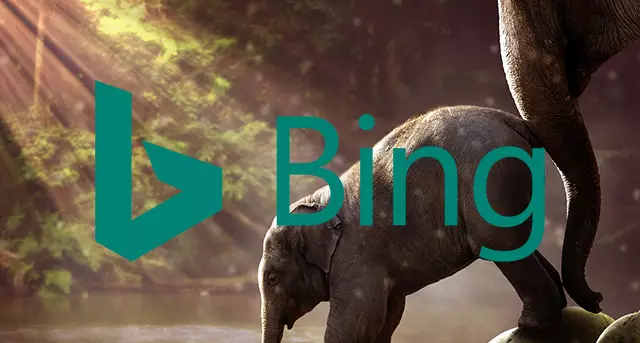 Bing อธิบายวิธีส่ง URL ผ่านเว็บมาสเตอร์ API 20059_1