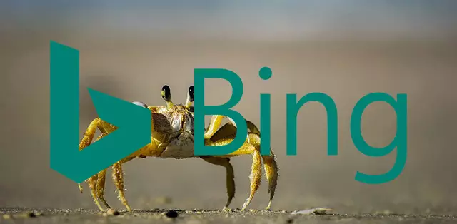 Bing ökade URL-inlämning till 10 000 webbadresser per dag 20062_1