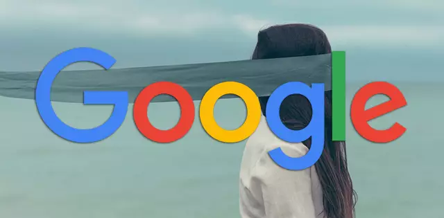 Google chỉ đánh giá chất lượng trang web dựa trên các trang họ lập chỉ mục 20315_1