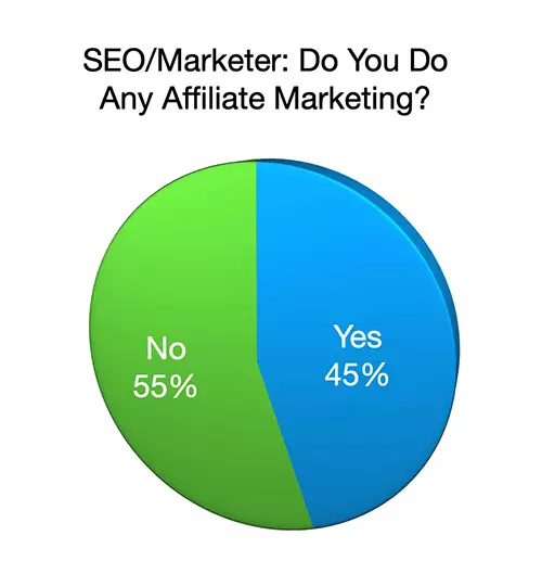 45% fan SEOS / Marketers dogge Affiliate Marketing 2048_2