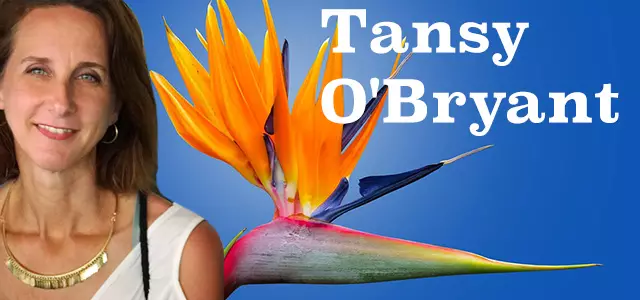 Tansy O'bryant: A comunidade de pesquisa honra você