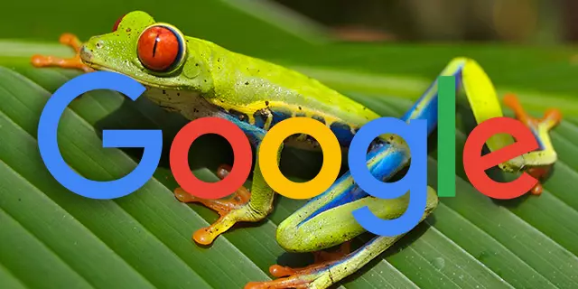 Google Frog.