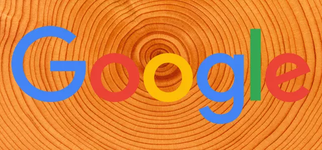 Google dice che l'età del dominio non importa per le classifiche di ricerca 21699_1