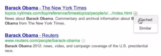 Google testing cache / katulad na drop down na mga link