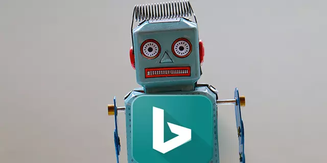 Bing ไม่เคยสนับสนุน NoIndex ใน Robots.txt 22428_1