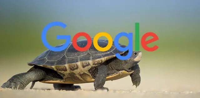 Google 98% பக்கங்களை அவர்கள் வலைவலம் செய்யலாம் ஆனால் அது வாரங்கள் எடுக்கலாம் 22498_1