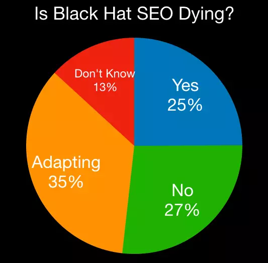 Black Hat Seo non morto ancora dice il sondaggio 22913_2