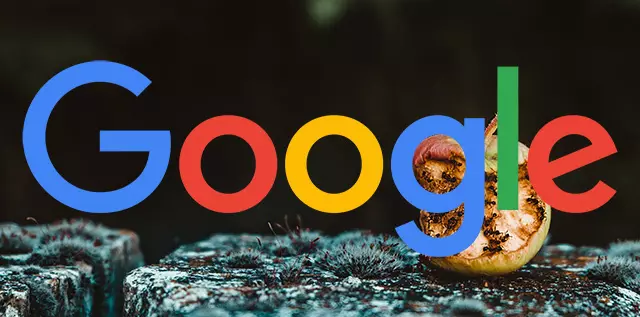 Google זאגט אַז עס איז אַ שלעכט צייכן אויב דיין ראָובאַץ.טקסט אָדער סיטעמאַפּ טעקע איז רייטינג פֿאַר נאָרמאַל פֿראגן 23142_1