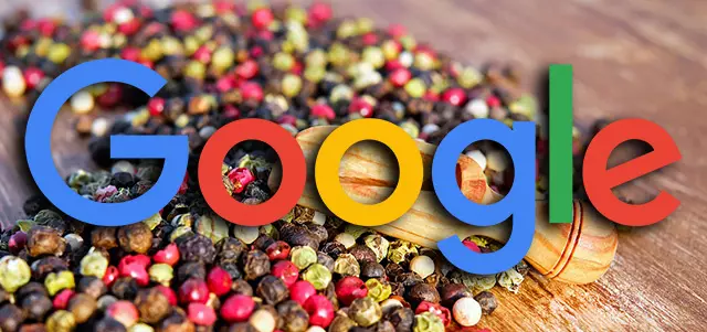 Os algoritmos de pesquisa do Google tentam ir granular, mas as atualizações mais antigas eram mais amplas 26979_1