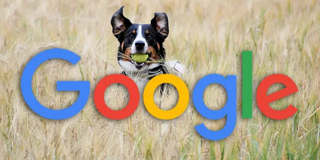 Čas, da Fetch & Render kaže na možne težave Google plazenje? 28024_1