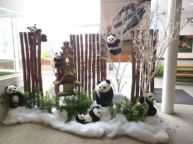 Adegan Nativity Google Panda di Lobi