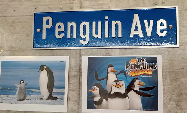 Google Penguin Ave amb pingüins pòsters