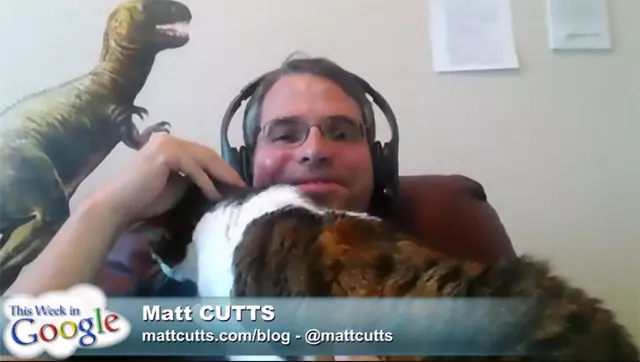 Matt cutts no twit