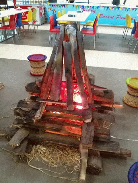 Google India Cafe Fire for Lohri