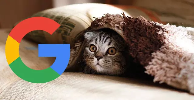 Google Search Console Dekking Verslag vertraag 10 dae 3673_1