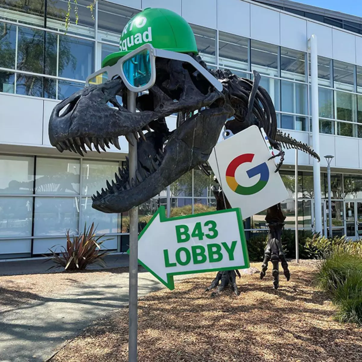 Google dinossauro stan com chapéu do esquadrão do RTO
