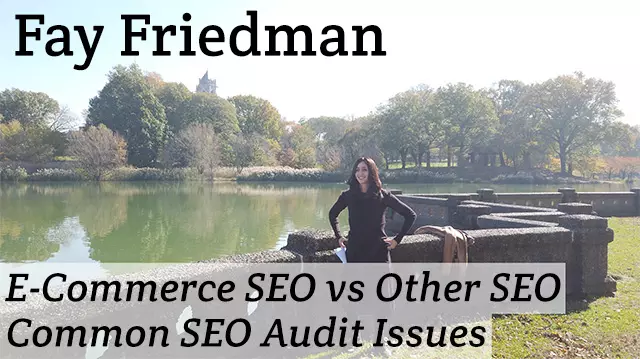 Vlog Episodio N. 114: Fay Friedman su E-Commerce SEO vs altri problemi SEO & Common SEO Audit