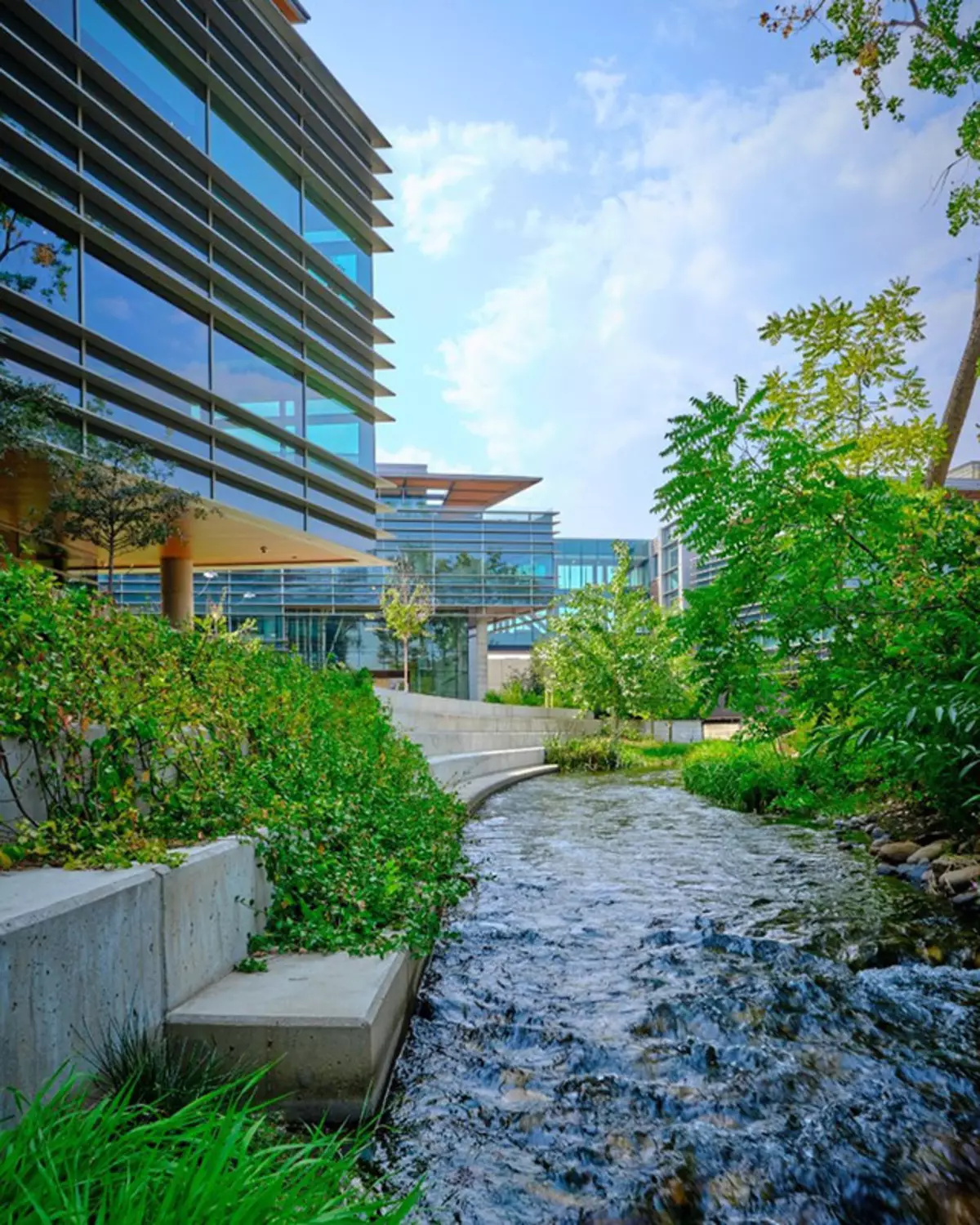 Google Boulder Stream.