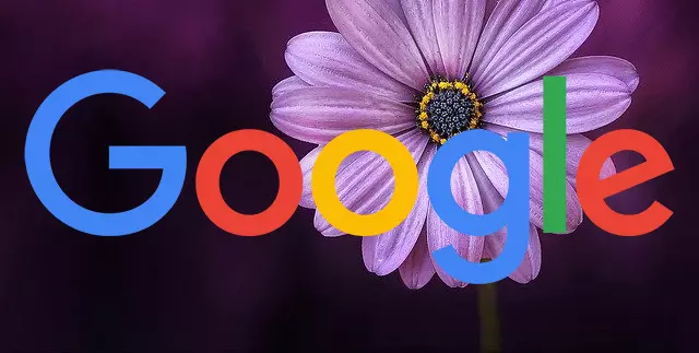 Google lokalni oglasi Oznaka ljubičaste ad etikete ponovo 4731_1