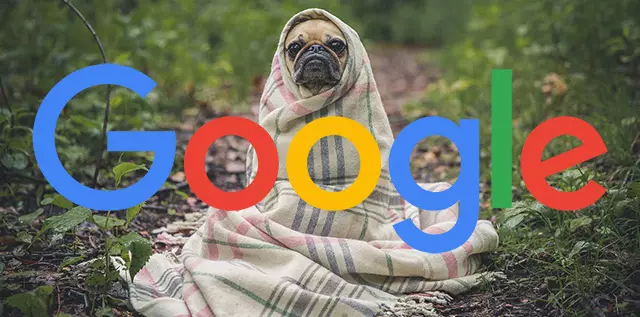 Heke weşanxane tenê wan wekî Default bikar bînin dikarin Google dikarin girêdanên nofollow ji bîr nekin 5100_1