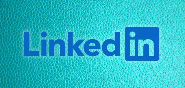 LinkedIn, Google Alqoritm yeniləməsi ilə vurduğunu etiraf edir 5349_1