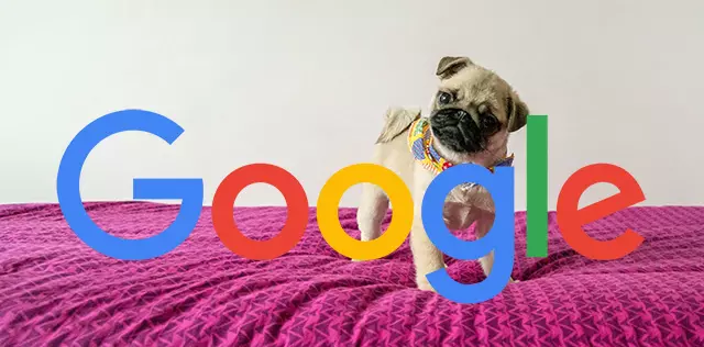 Kini idi ti Google jẹrisi diẹ ninu awọn imudojuiwọn Algorithm mojuto & kii ṣe awọn ẹlomiran? O jẹ nipa iporuru. 5750_1