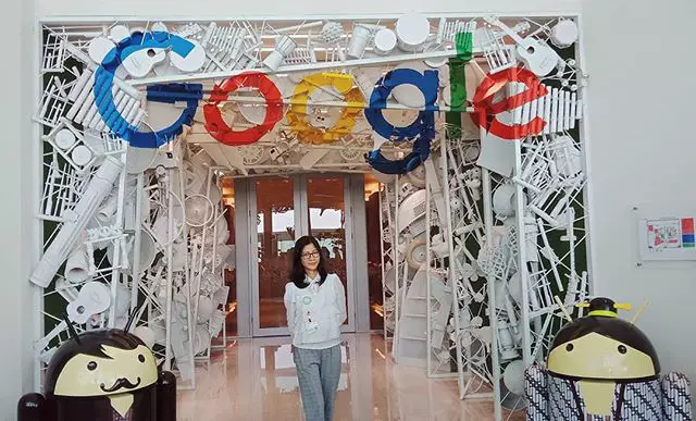 Google Hallway mune chena zvinhu