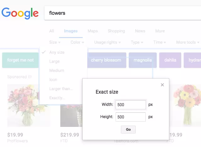Google Image Recherche Filtre de taille exacte à corriger la semaine prochaine 6282_2