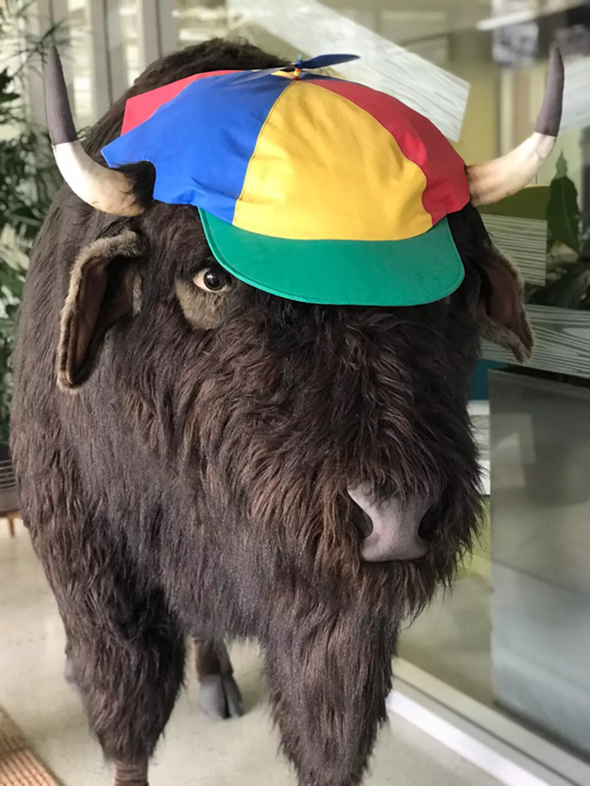 Google Bison