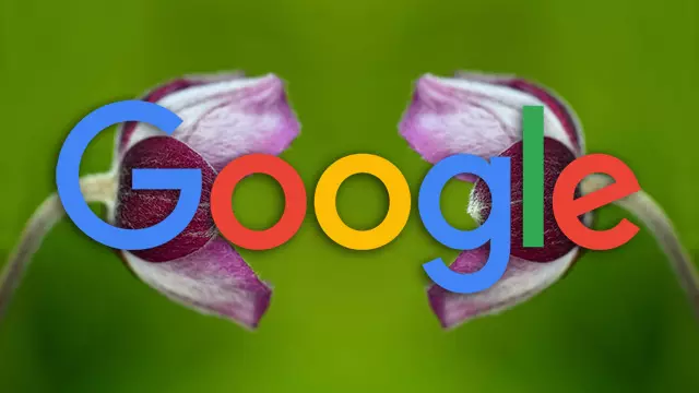 Google diras, ke URL-dosierujo ne bezonas kongrui kun enhavo-dosierujo 6581_1