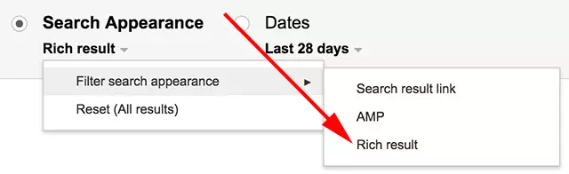 Google Search Analytics Krijg rijk resultaatfilter in zoekconsole 7785_2