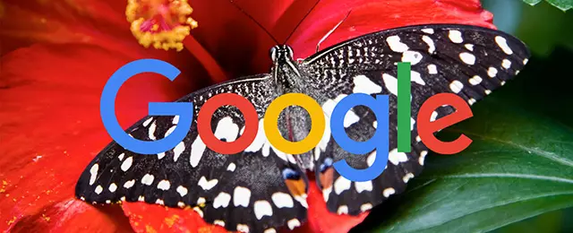 Google تصویری تلاش گیلری، نگارخانہ میں تصویر محفوظ کریں 7966_1