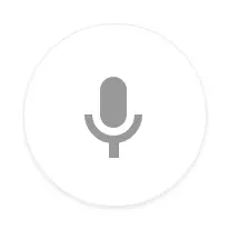 Google Voice Search