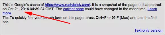 Google Cache Rustybrick.